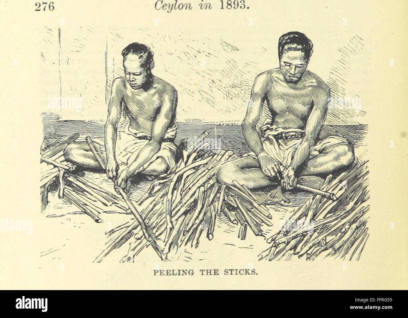 'Ceylon in 1893' provides a snapshot of Ceylon (now Sri Lanka) during ...
