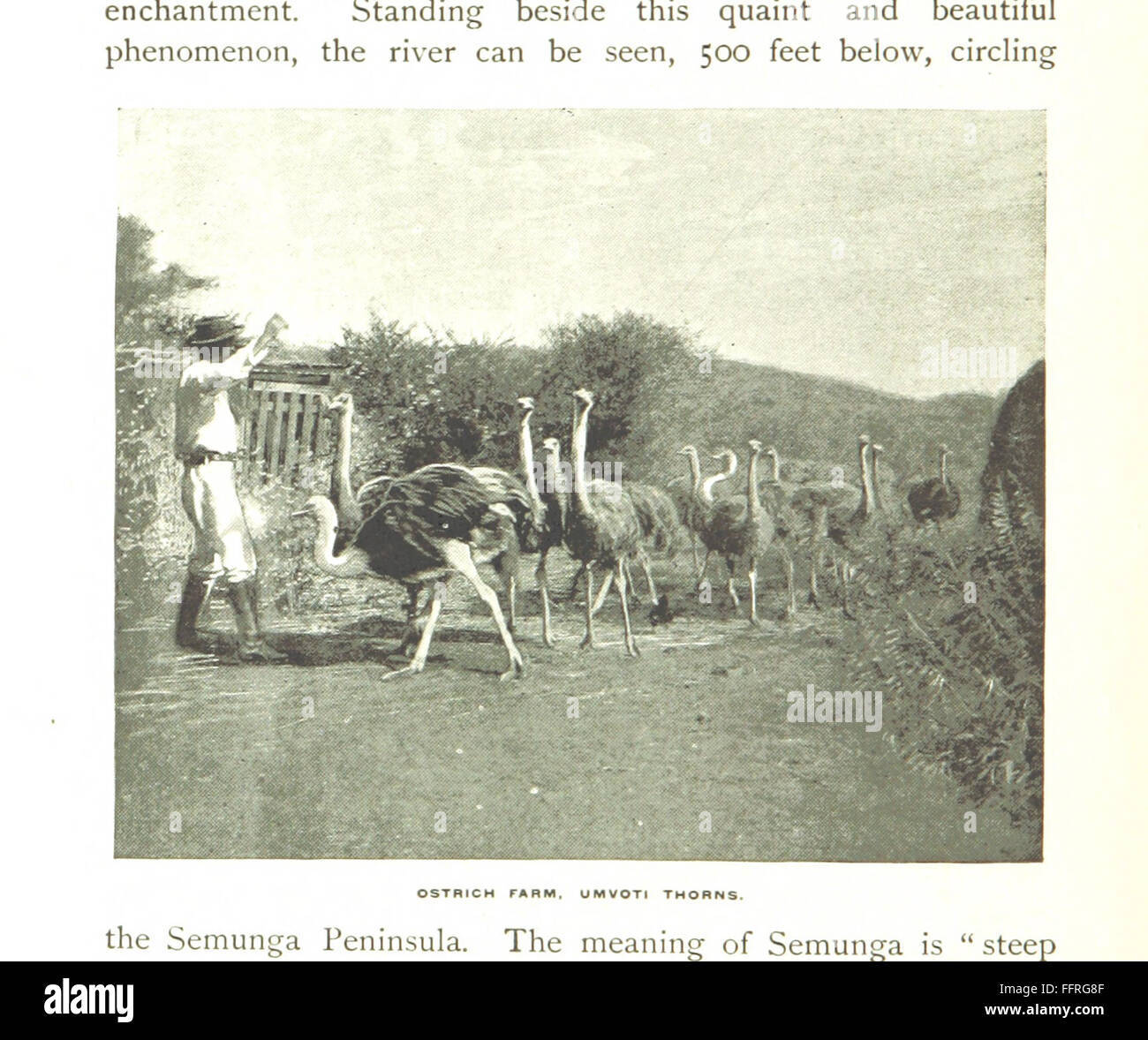 'The Colony of Natal' is an official handbook and railway guide ...