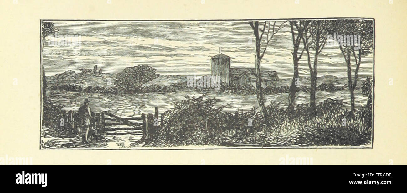 'More Precious than Gold' is a vintage book, presenting a narrative ...