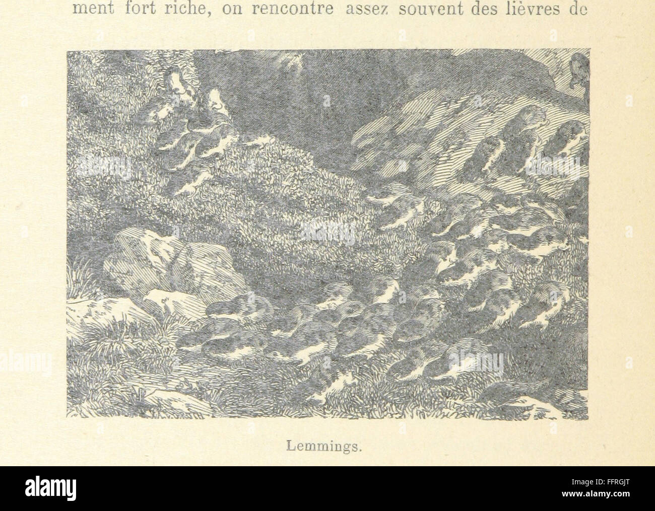 This book details the French Arctic expedition to the North Pole and ...