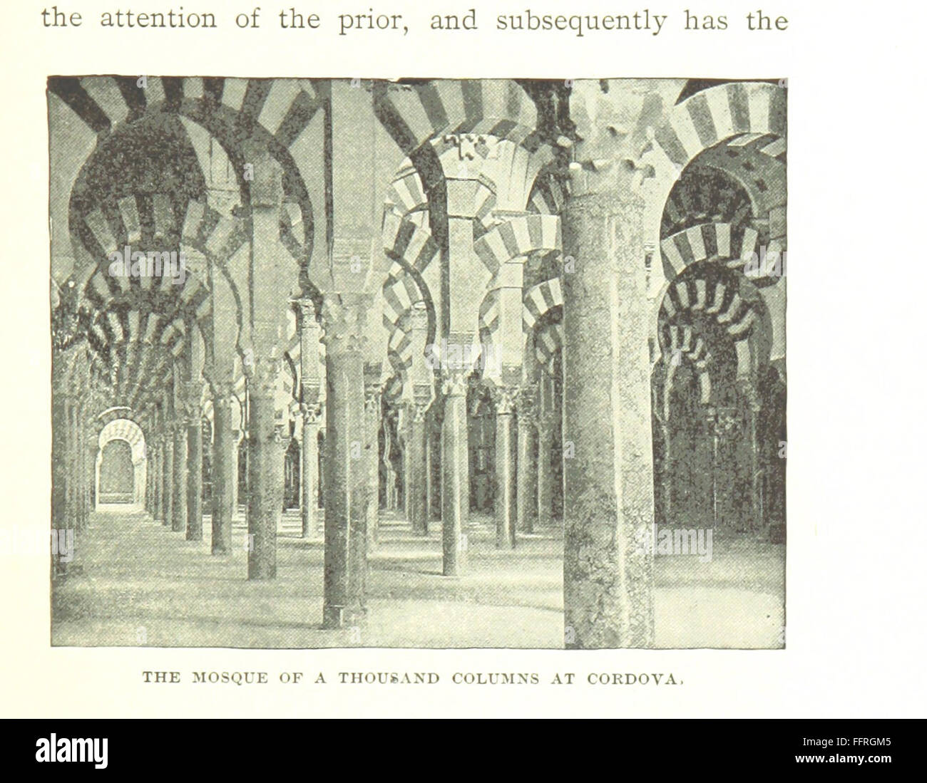 'In the Wake of Columbus' chronicles the adventures of the special ...