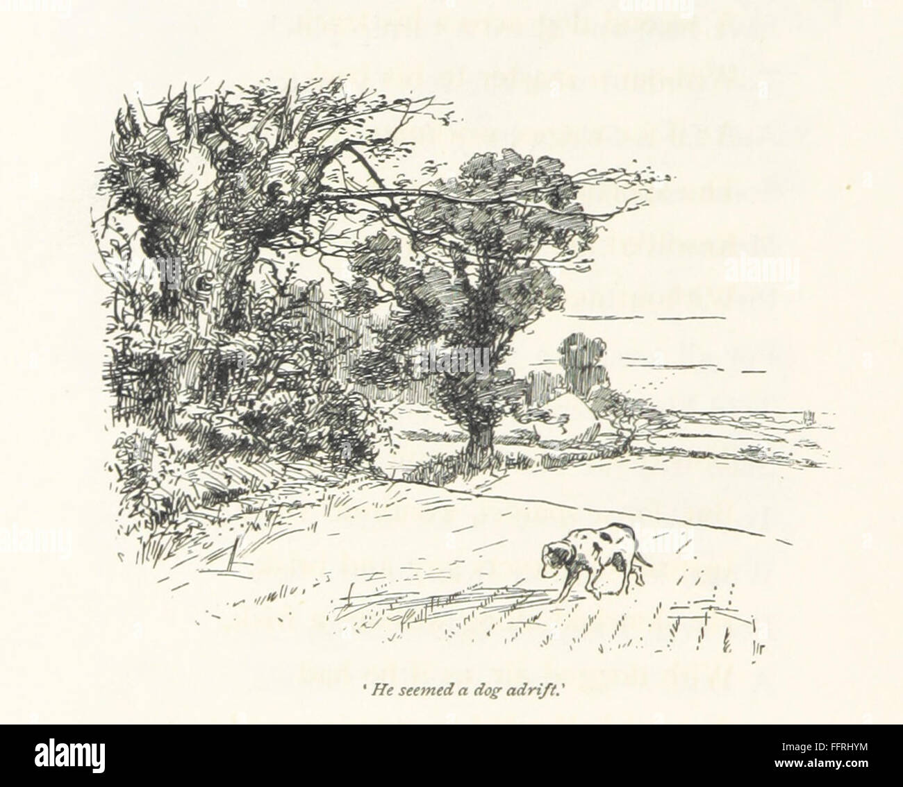 'Humorous Poems' features a collection of witty and light-hearted ...