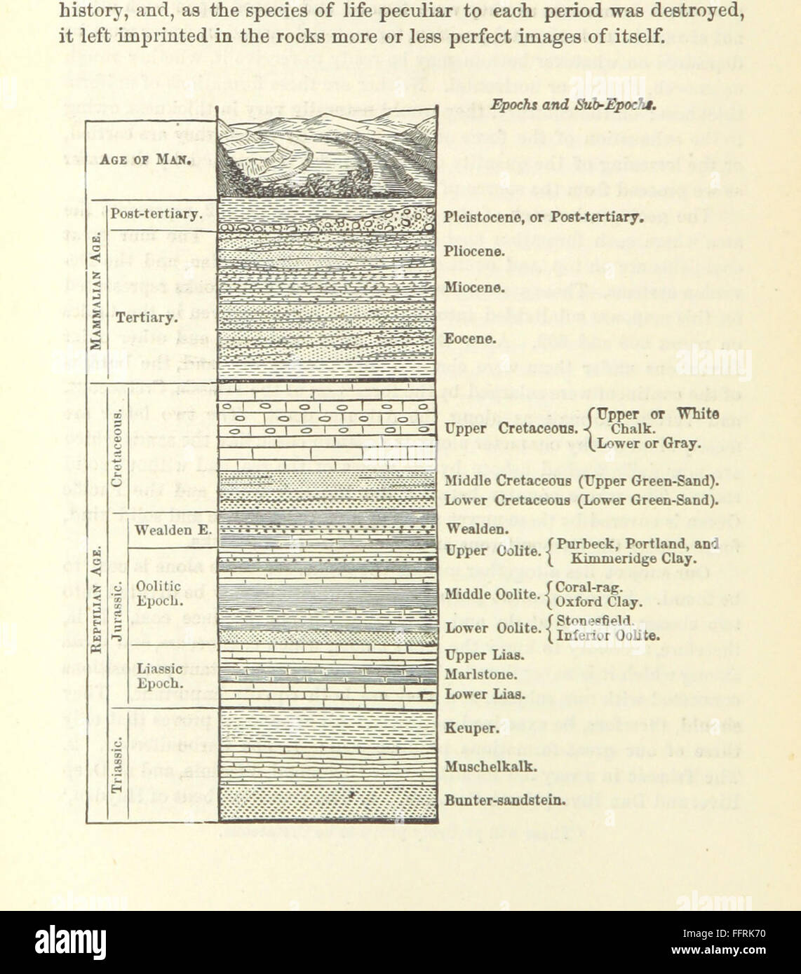 50 of '[The Coal-Regions of America; their topography, geology and ...