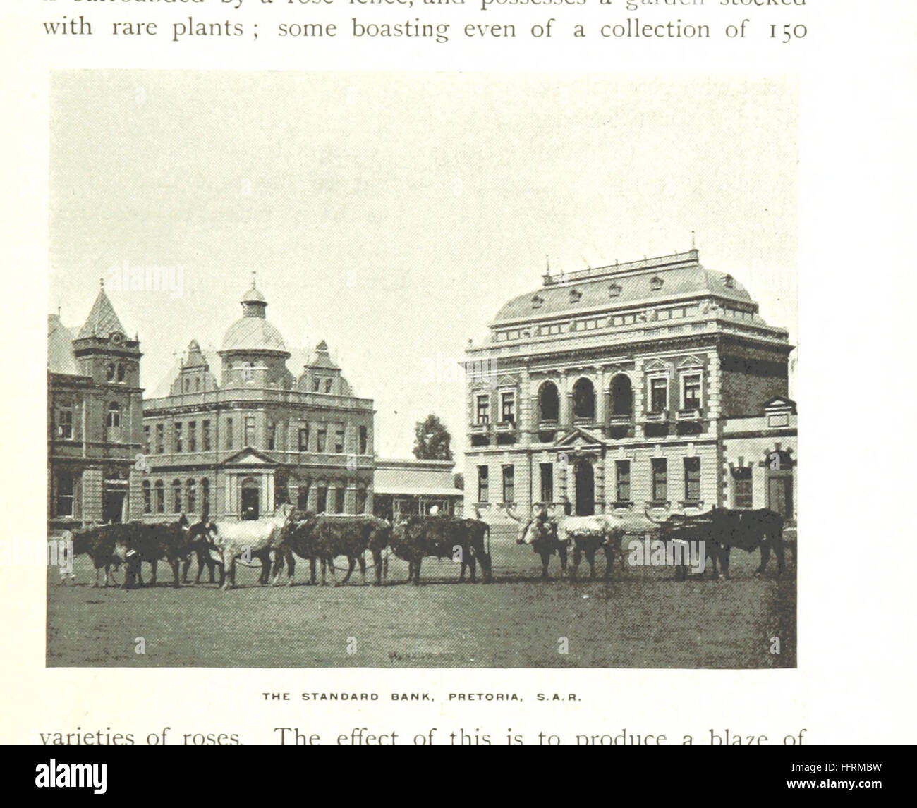 'The Colony of Natal' offers an official account of the colony ...