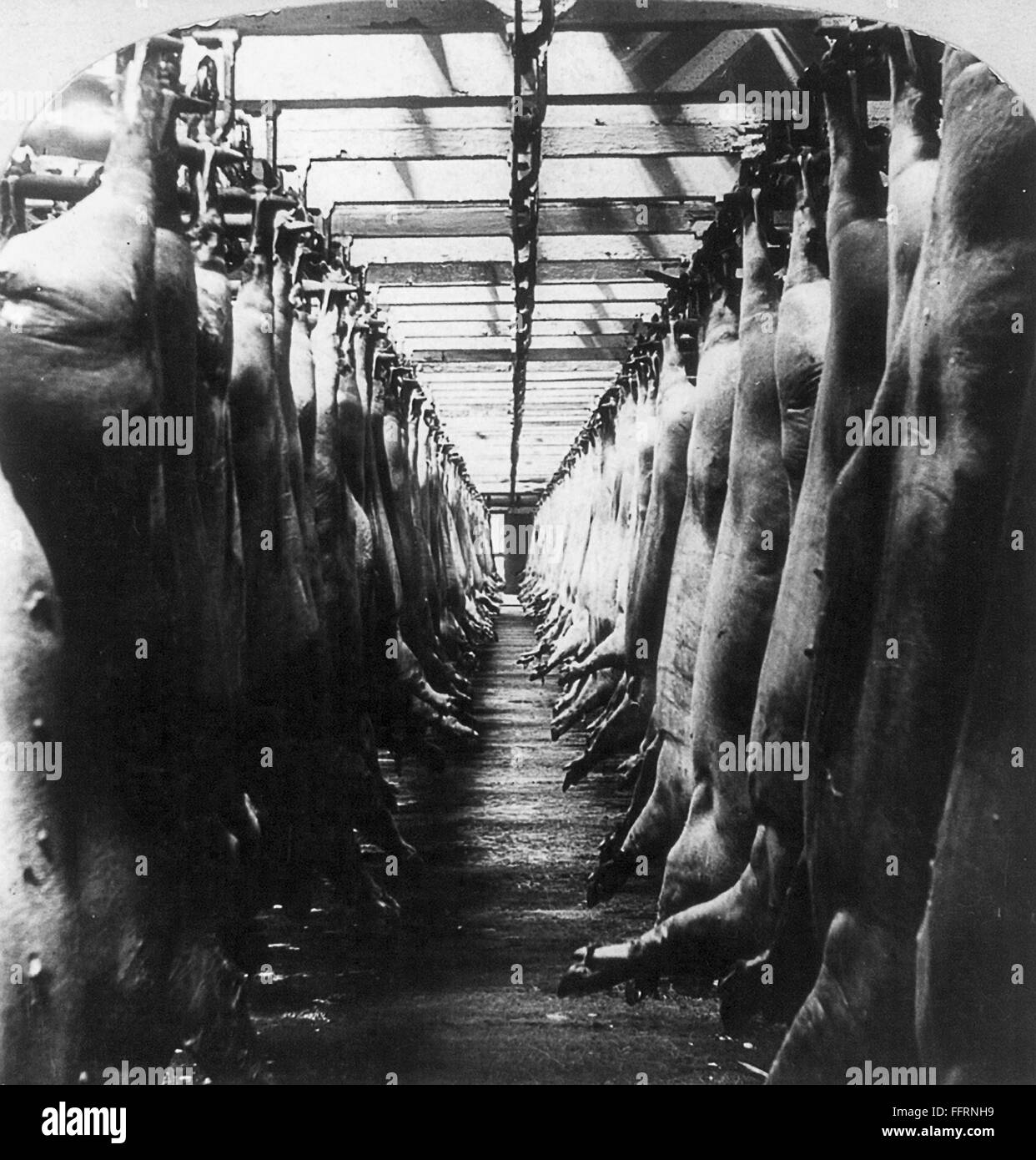 Hanging meat chicago hi-res stock photography and images - Alamy