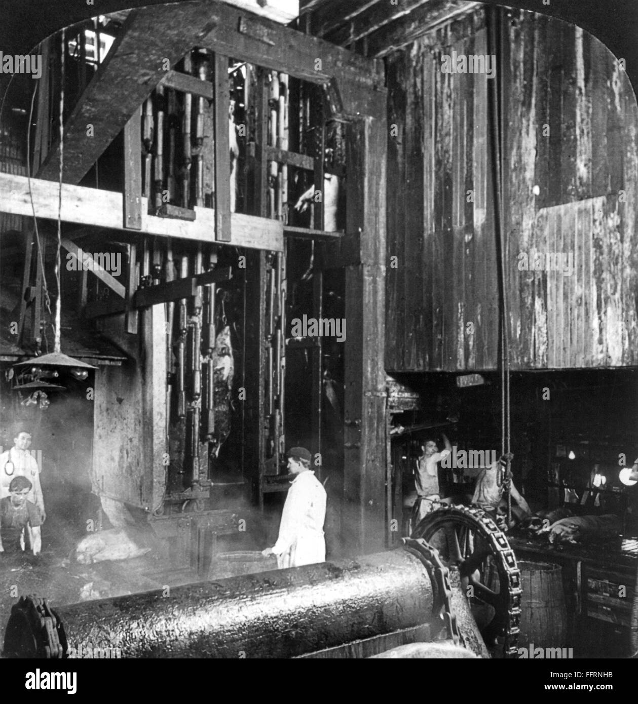 CHICAGO: MEATPACKING. /nAn automatic scraping machine with the capacity ...