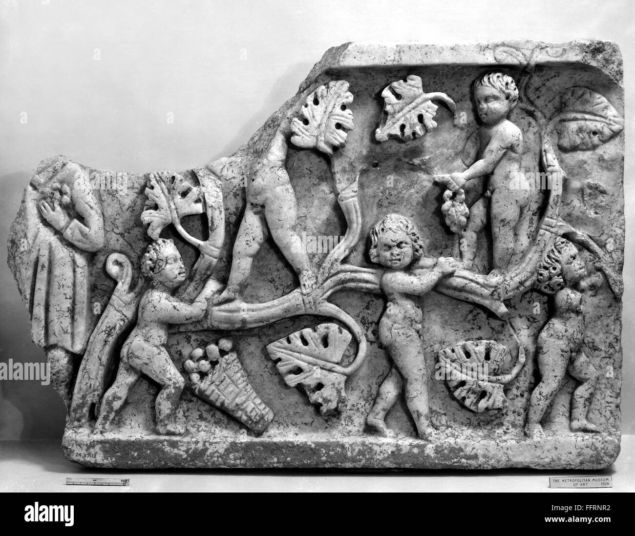 GRAPE HARVEST, 4th CENTURY. /nFragment from a marble sarcophagus. Early ...