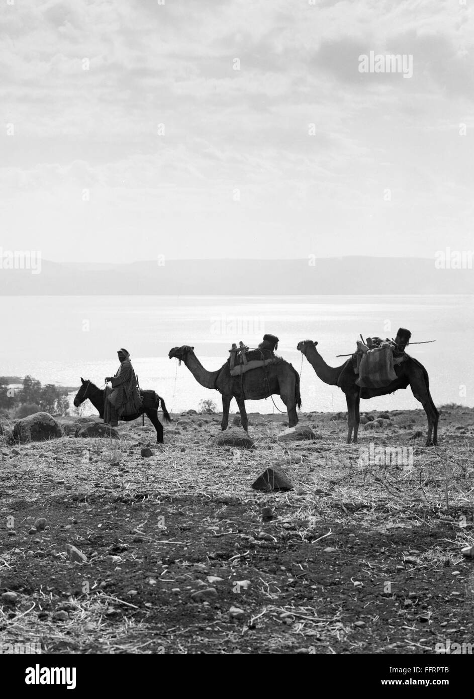 HOLY LAND: CAMEL CARAVAN. /nA camel caravan returning from Jerusalem ...