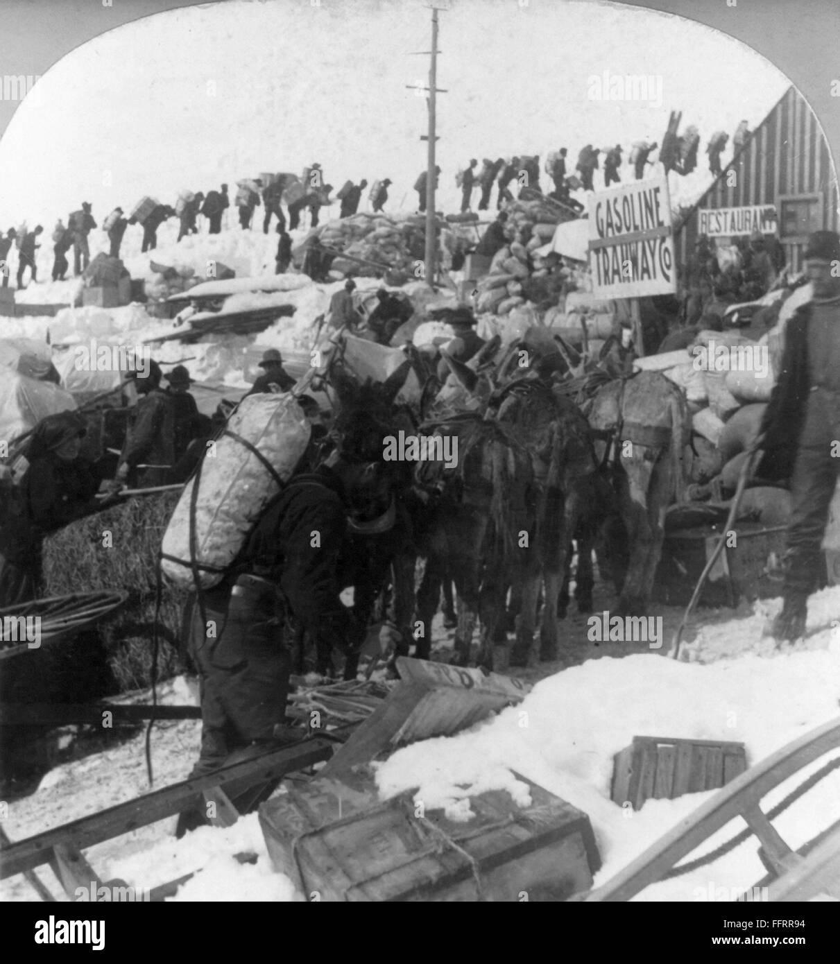 ALASKA: GOLD RUSH, c1898. /nA large group of gold prospectors and ...