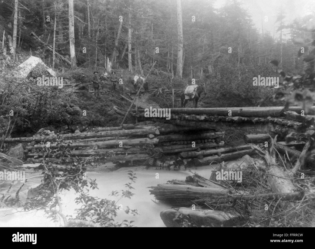 ALASKA: GOLD RUSH, c1897. /nHorse on bridge over a stream where toll ...