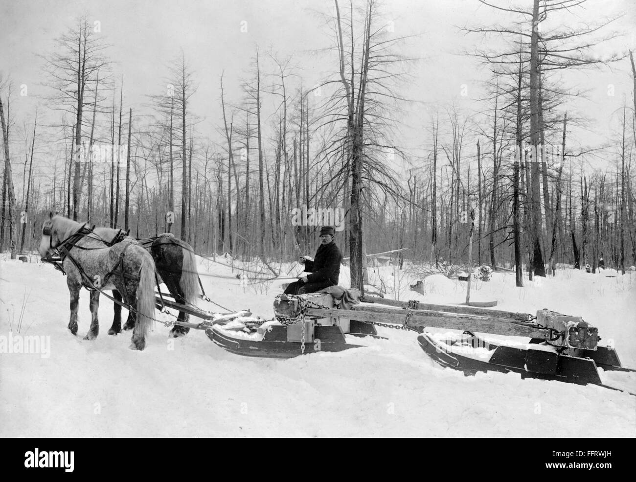MICHIGAN: LUMBERING. /nA lumberjack logging with horsedrawn sled during ...