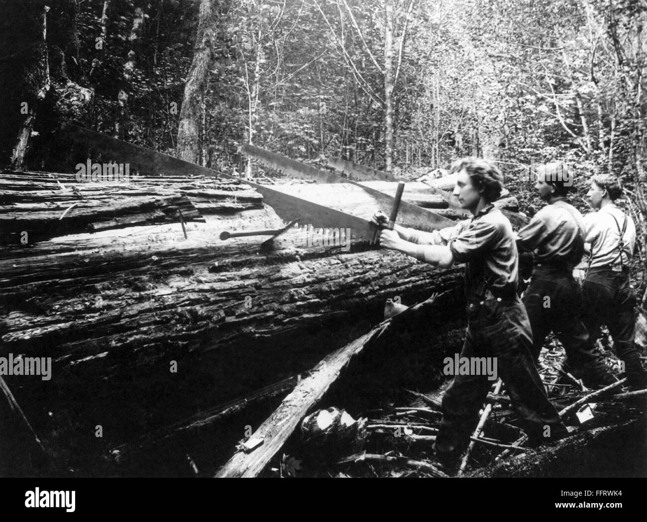 WASHINGTON: LUMBERING, c1899. /nLumberjacks cutting shingle bolts in ...