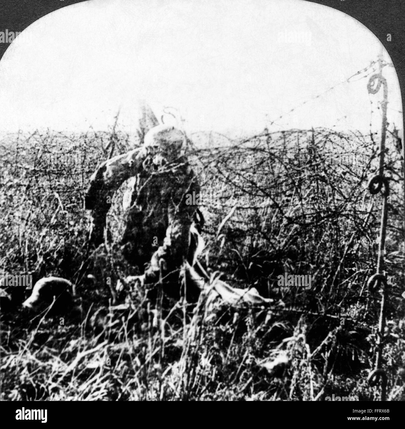WORLD WAR I: DEAD SOLDIER. /nThe remains of a dead soldier hanging on ...