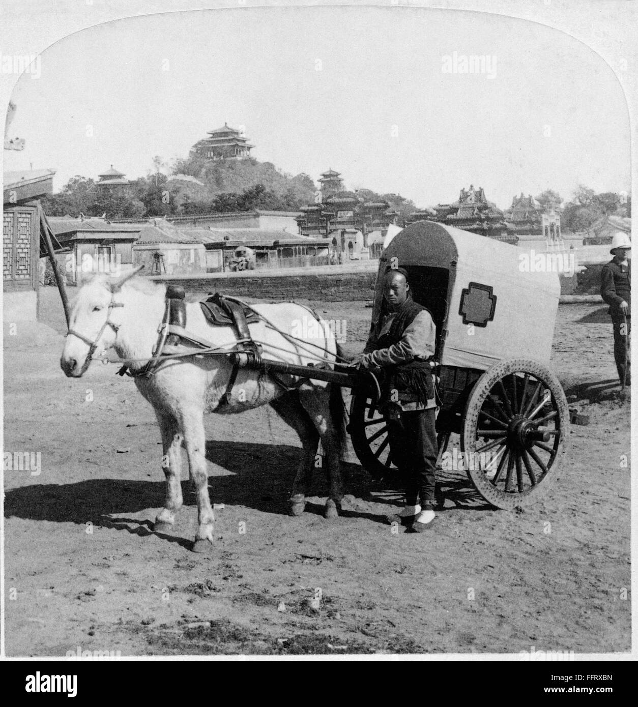 CHINA: PEKING, 1901. /nA typical springless, seatless mule-drawn ...