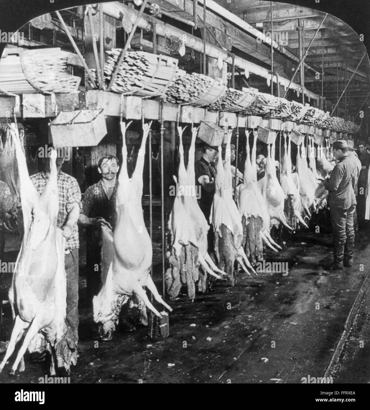 Hanging meat chicago hi-res stock photography and images - Alamy