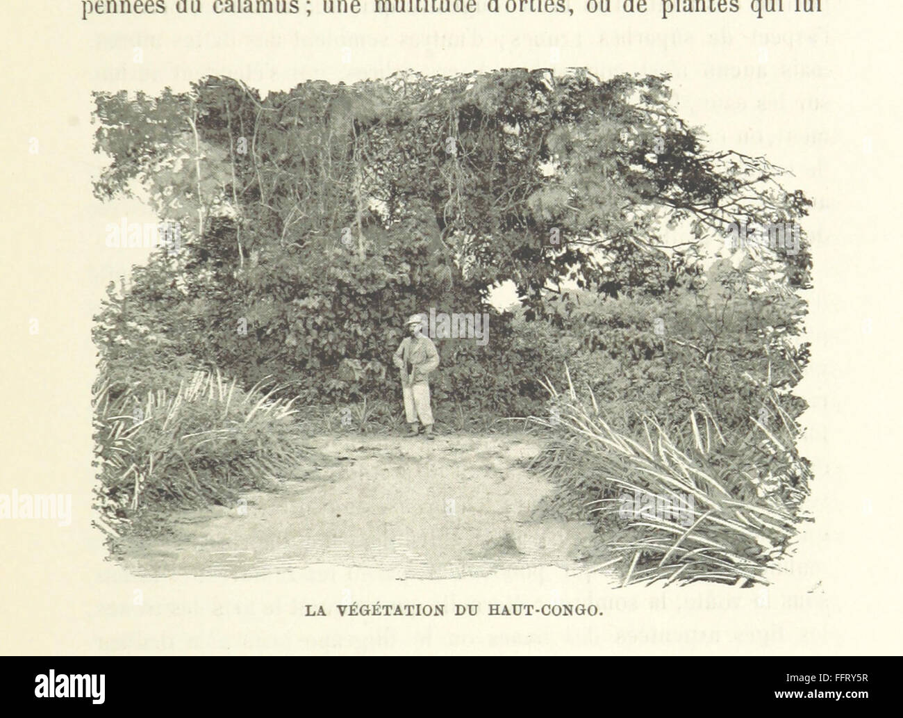 'Le Congo historique' offers a comprehensive historical, political, and ...