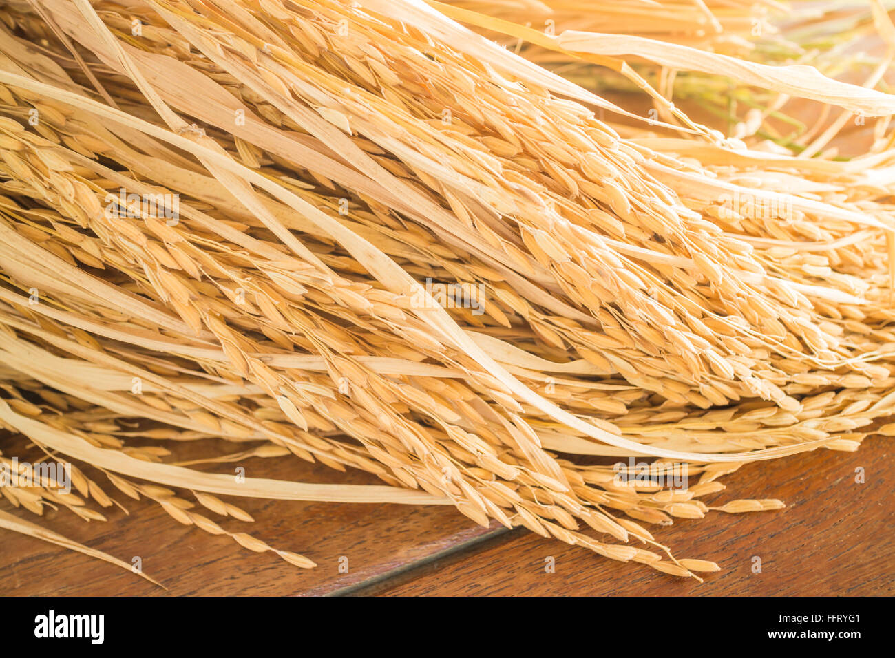 Paddy jasmine rice on wooden table, stock photo Stock Photo - Alamy