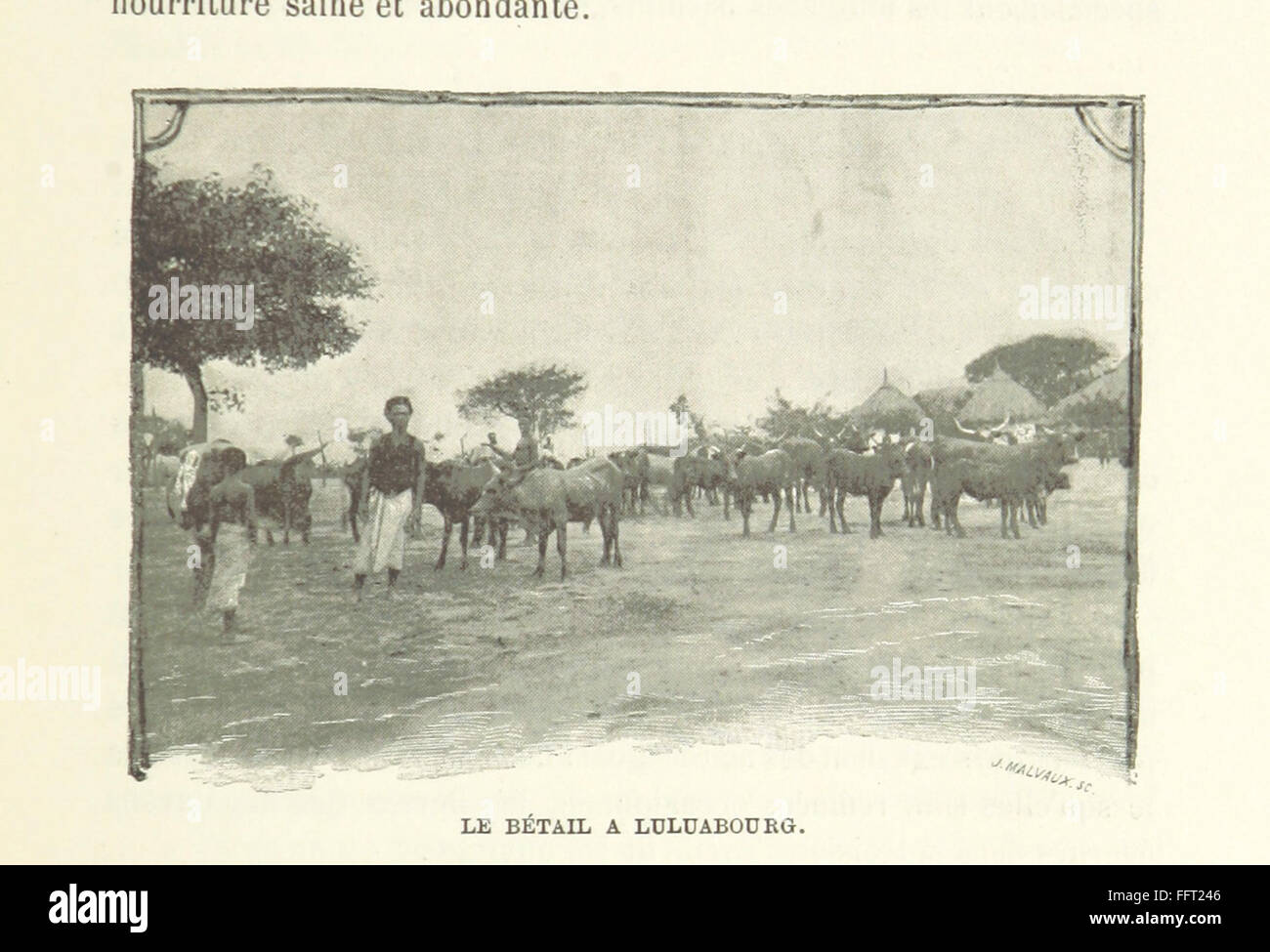 This vintage French-language book provides a comprehensive study of the ...