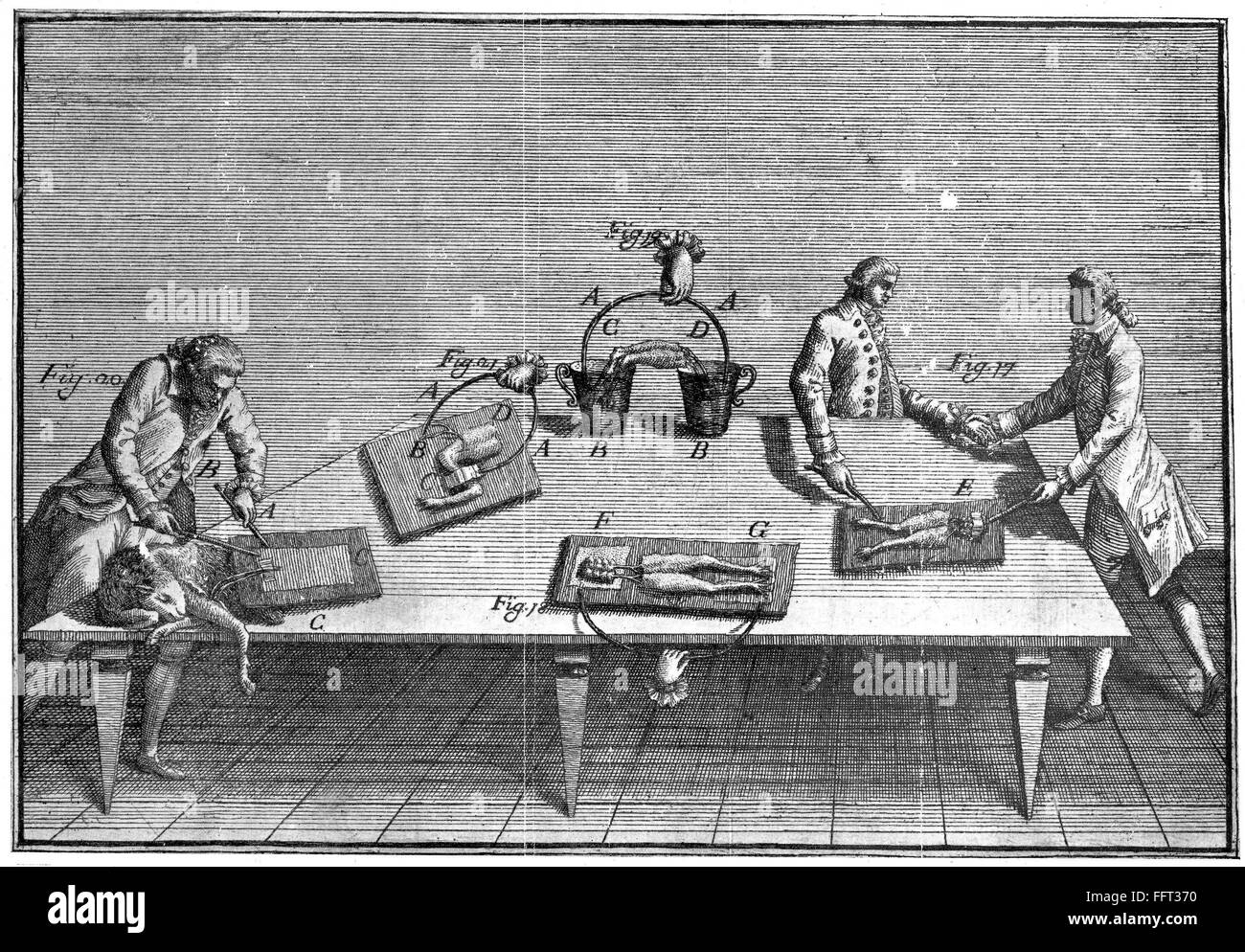 GALVANI: GALVANISM, 1791. /nLine engraving from Luigi Galvani's work on ...