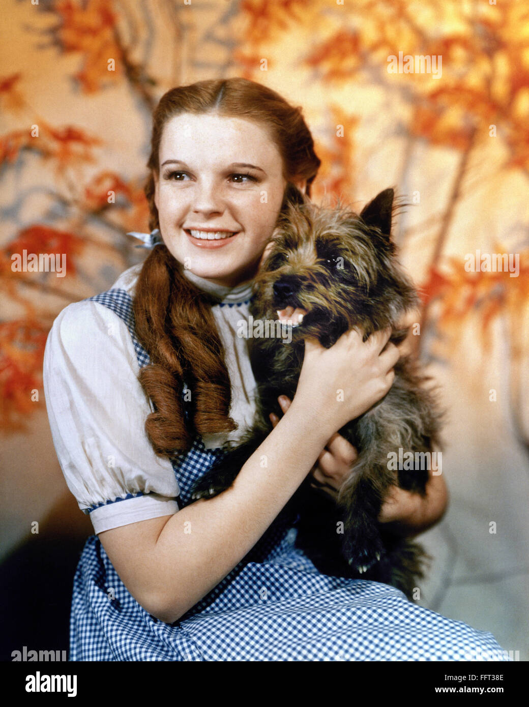 WIZARD OF OZ, 1939. /nJudy Garland as Dorothy, with her dog Toto, in ...