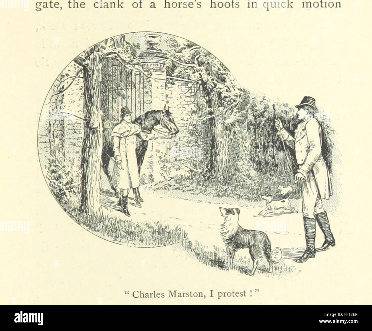 'The Evil Guest' is a novel that blends mystery and psychological ...