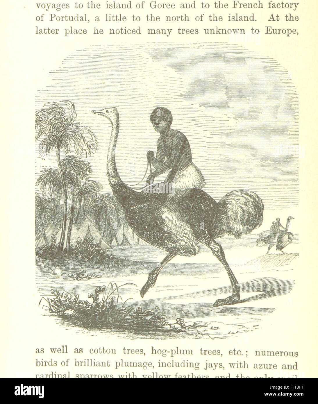 'Heroes of North African Discovery' highlights the explorers and their ...