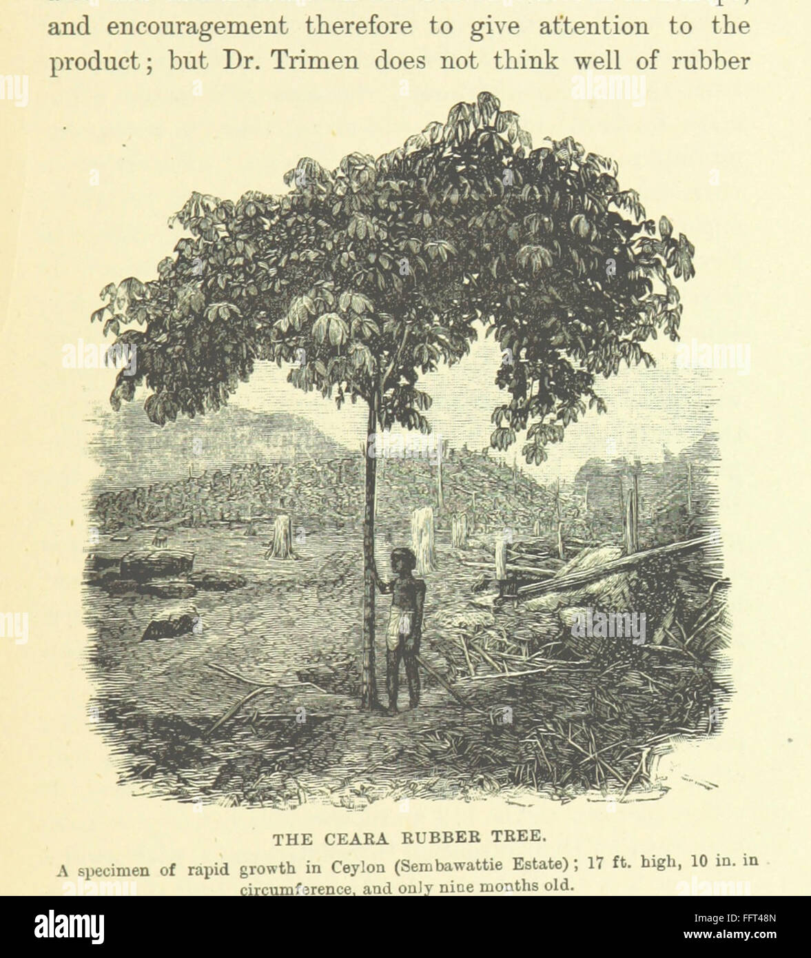 'Ceylon in 1893' is a vintage book offering a snapshot of life in ...