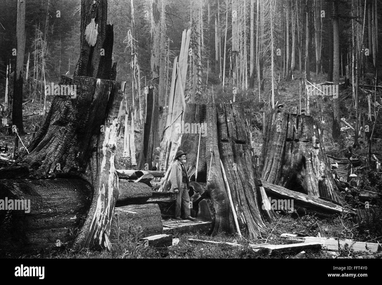 WASHINGTON: LUMBERING. /nA lumberjack with his family admid huge cedar ...