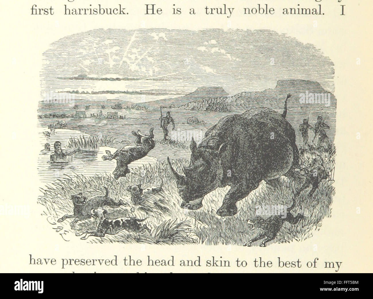 'African Hunting' chronicles the hunting expeditions across Southern ...