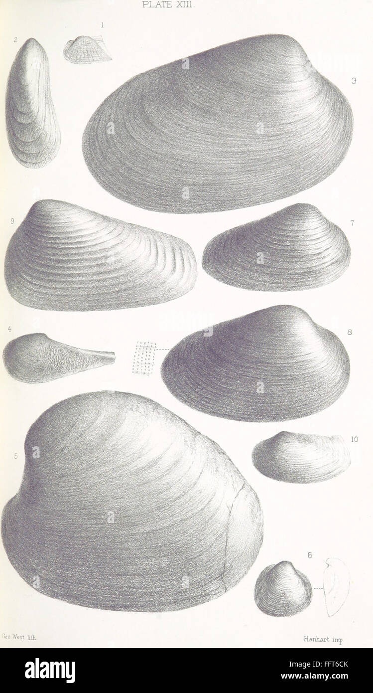 'The Yorkshire Lias' explores the geology and natural history of the ...