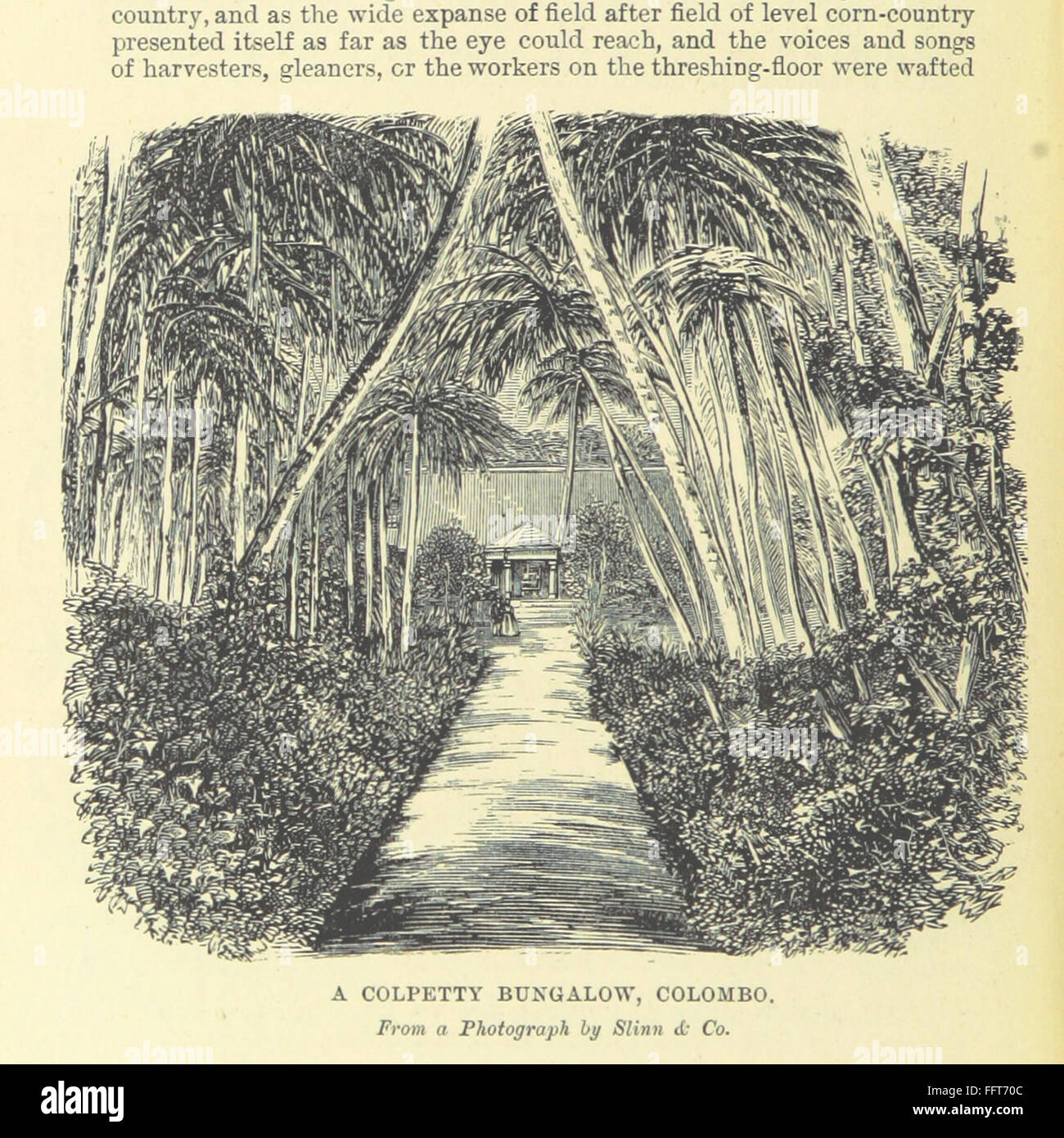 'Ceylon in 1893' provides a historical and cultural account of Ceylon ...