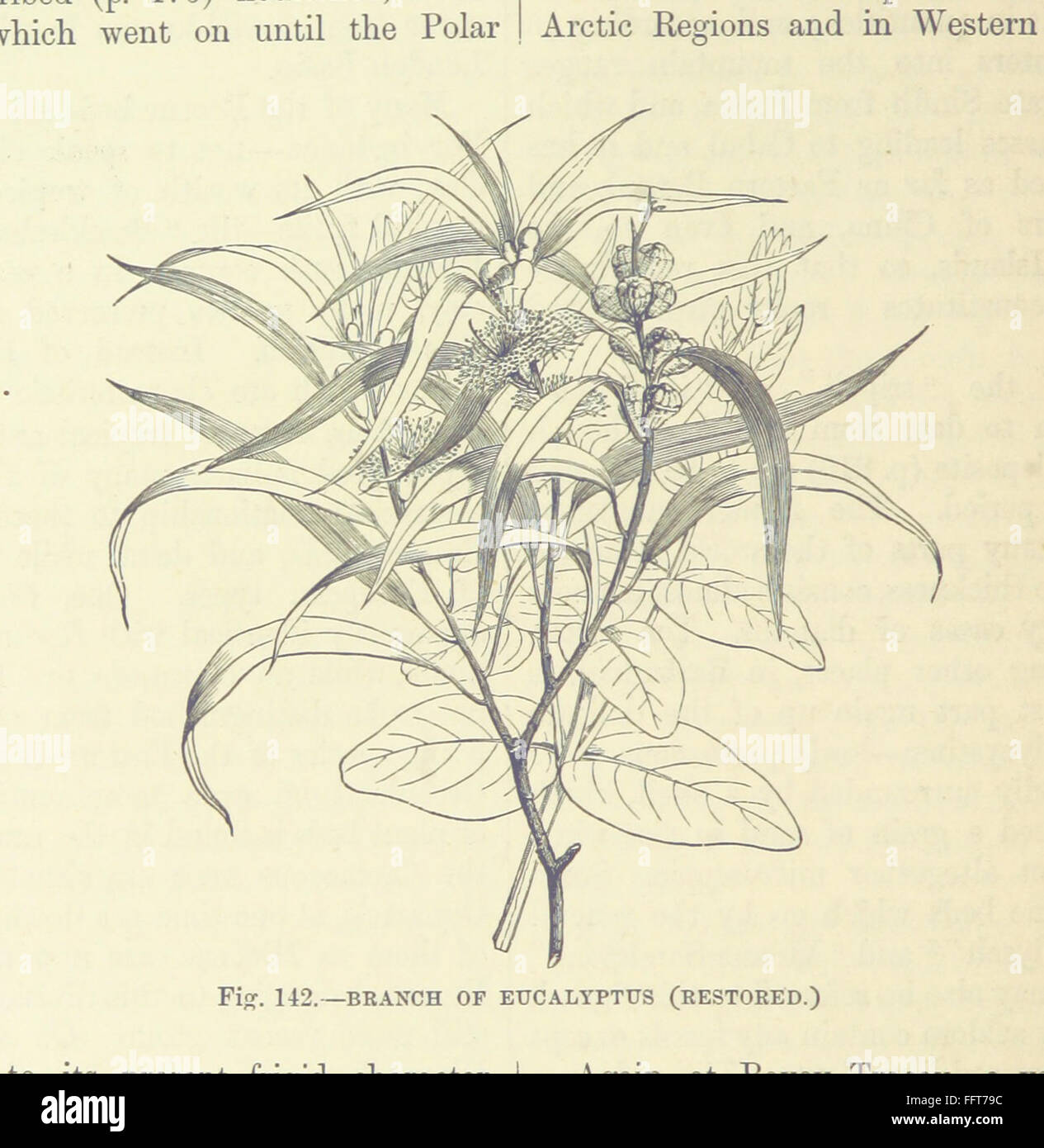 'Our Earth and its Story' provides an accessible overview of physical ...