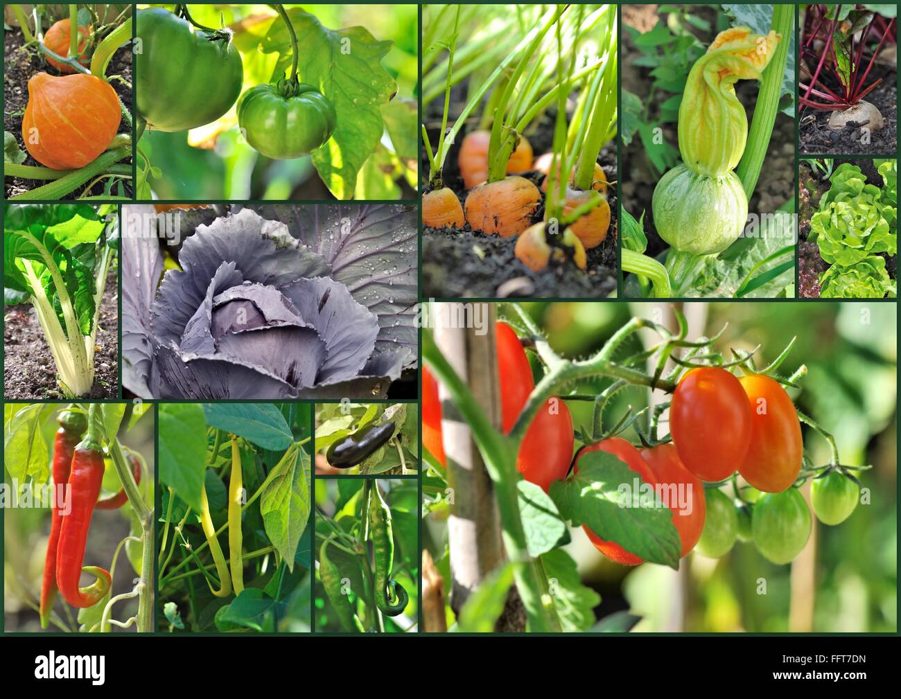 Different seasons collage hi-res stock photography and images - Alamy