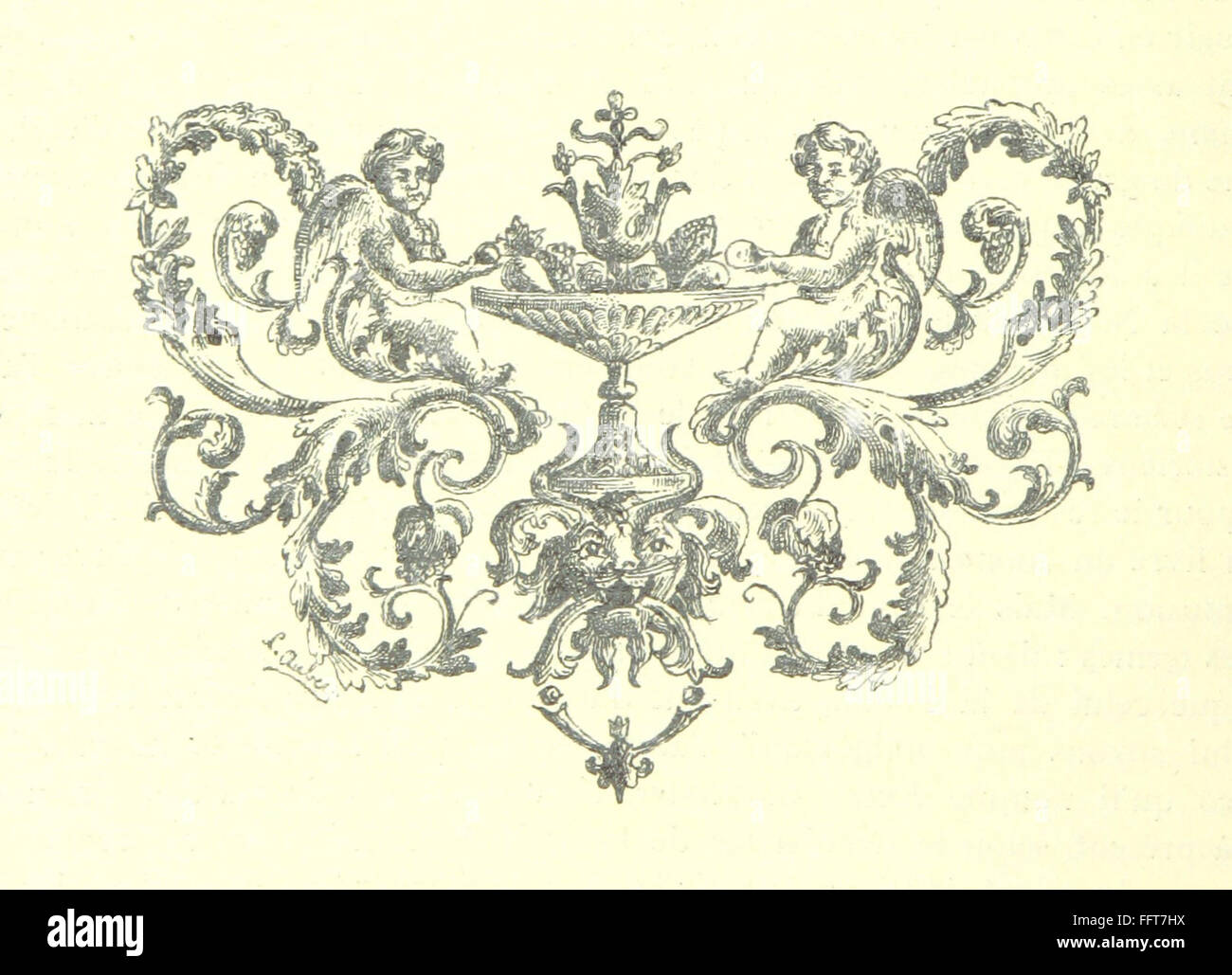 This book presents the history of Béarn, enriched with engravings, the ...