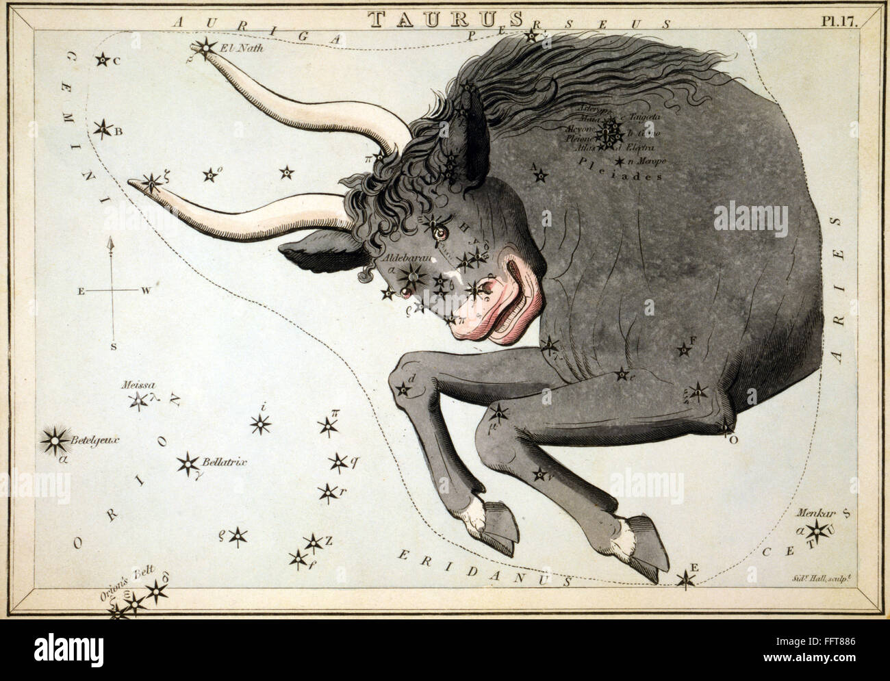 CONSTELLATION: TAURUS. /nFiguration of the constellation Taurus (bull ...