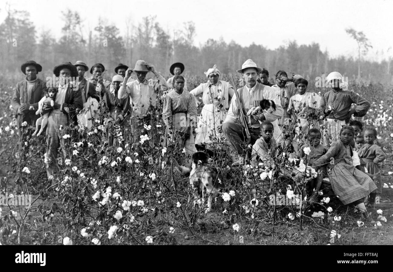 COTTON PLANTER & PICKERS, c1908. /nA cotton plantation owner ...