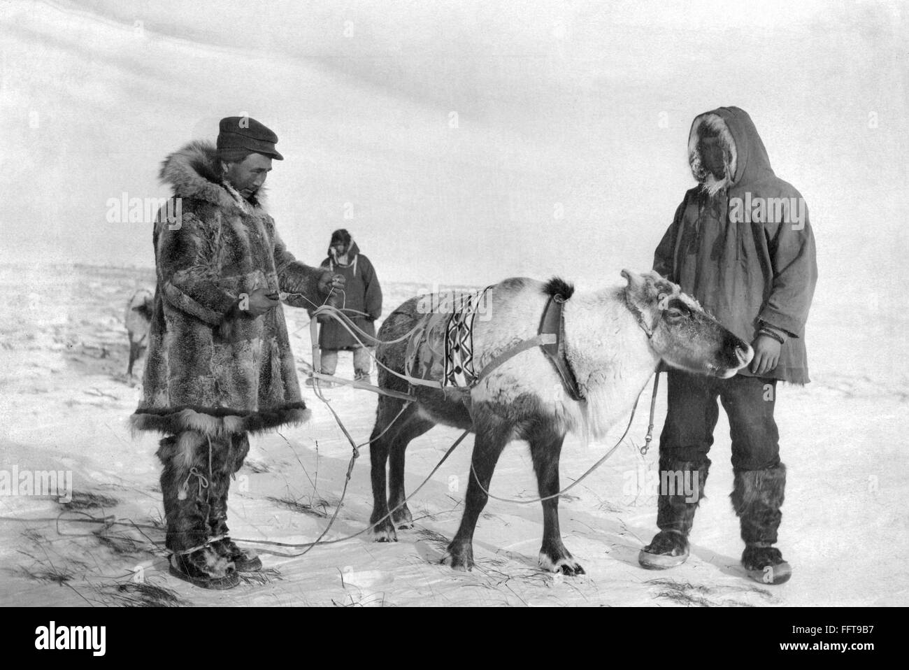 ALASKA: ESKIMOS. /nTwo Eskimo men with a reindeer that dropped its ...