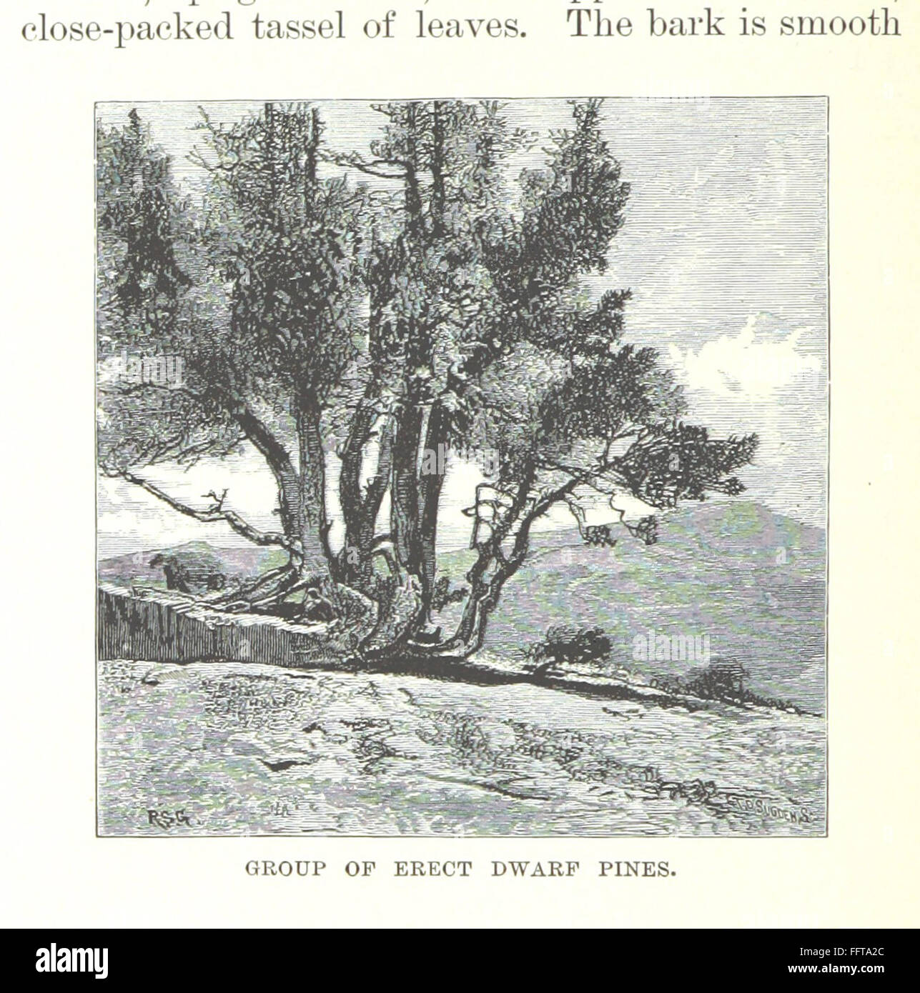 *The Mountains of California* is an illustrated exploration of ...