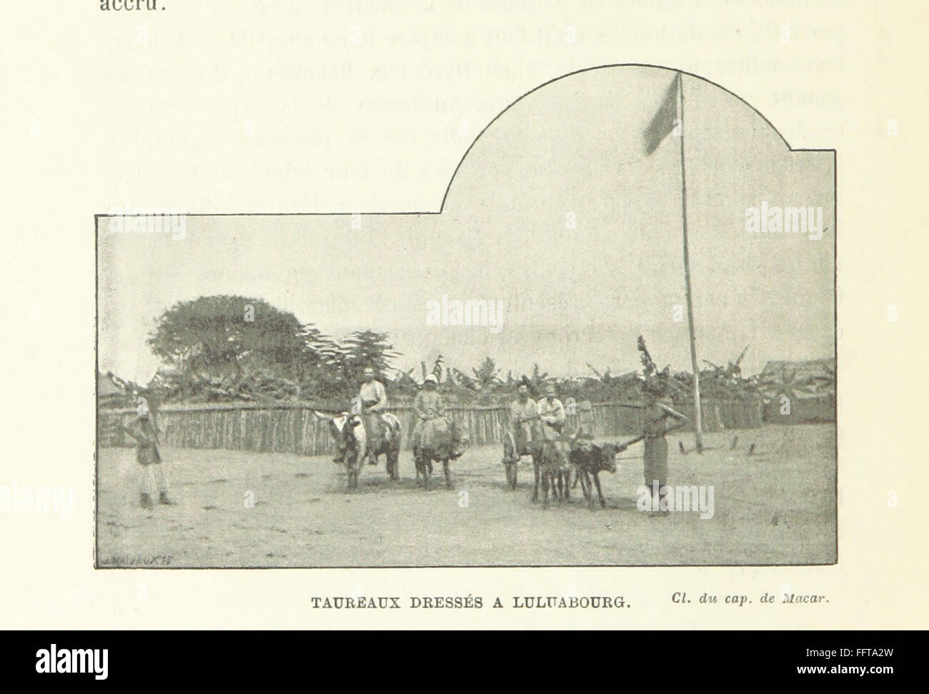 A comprehensive historical and political study of the Congo, exploring ...