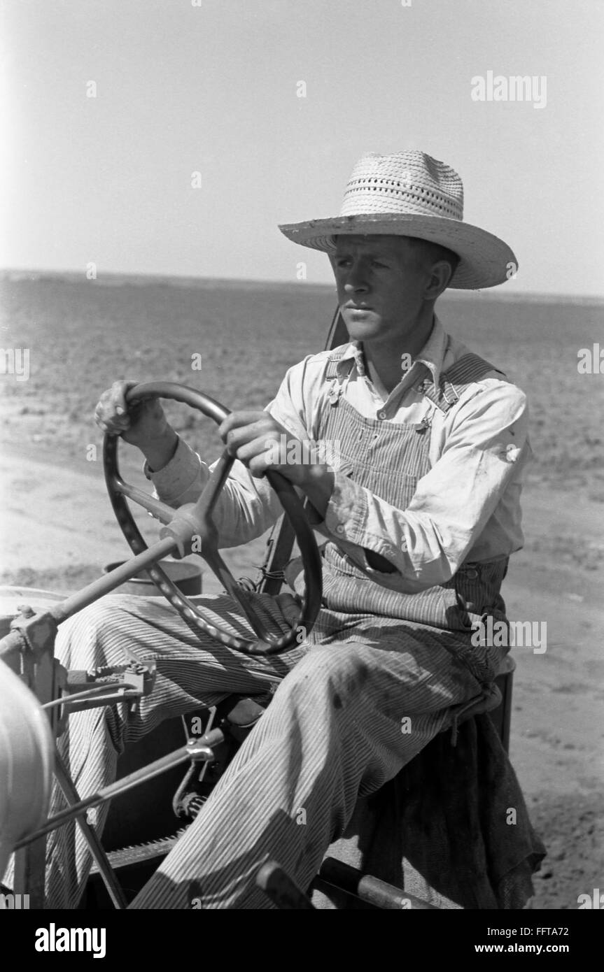TEXAS: FARMER, 1939. /nA day laborer at the wheel of a tractor on a ...