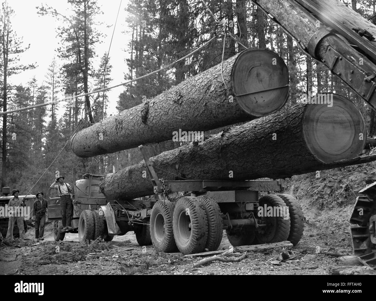 OREGON: LOGGING, 1942. /nLumberjacks loading huge logs onto a truck in ...