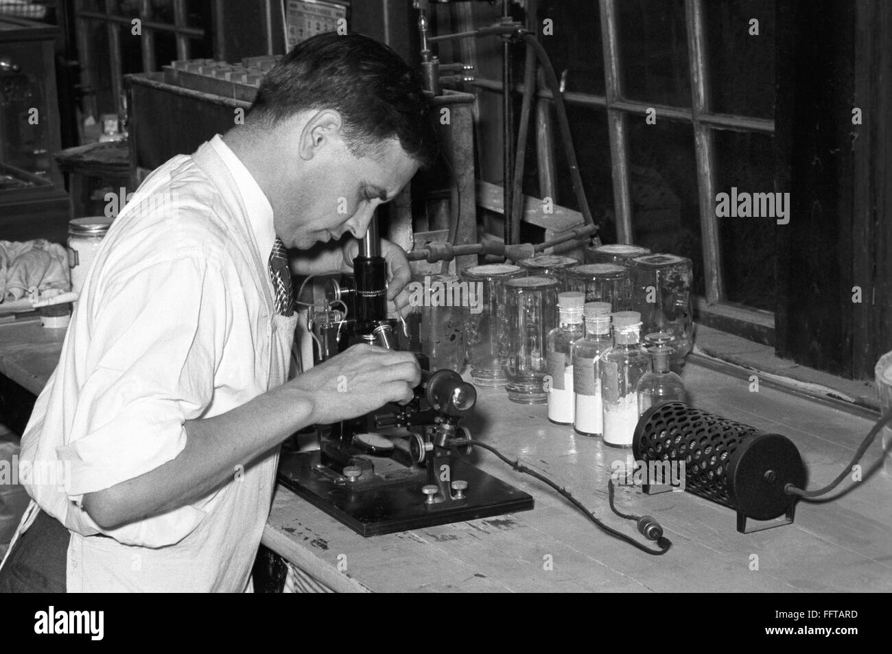 CHEMIST, 1938. /nChemist running microscopic experiment on sweet potato ...