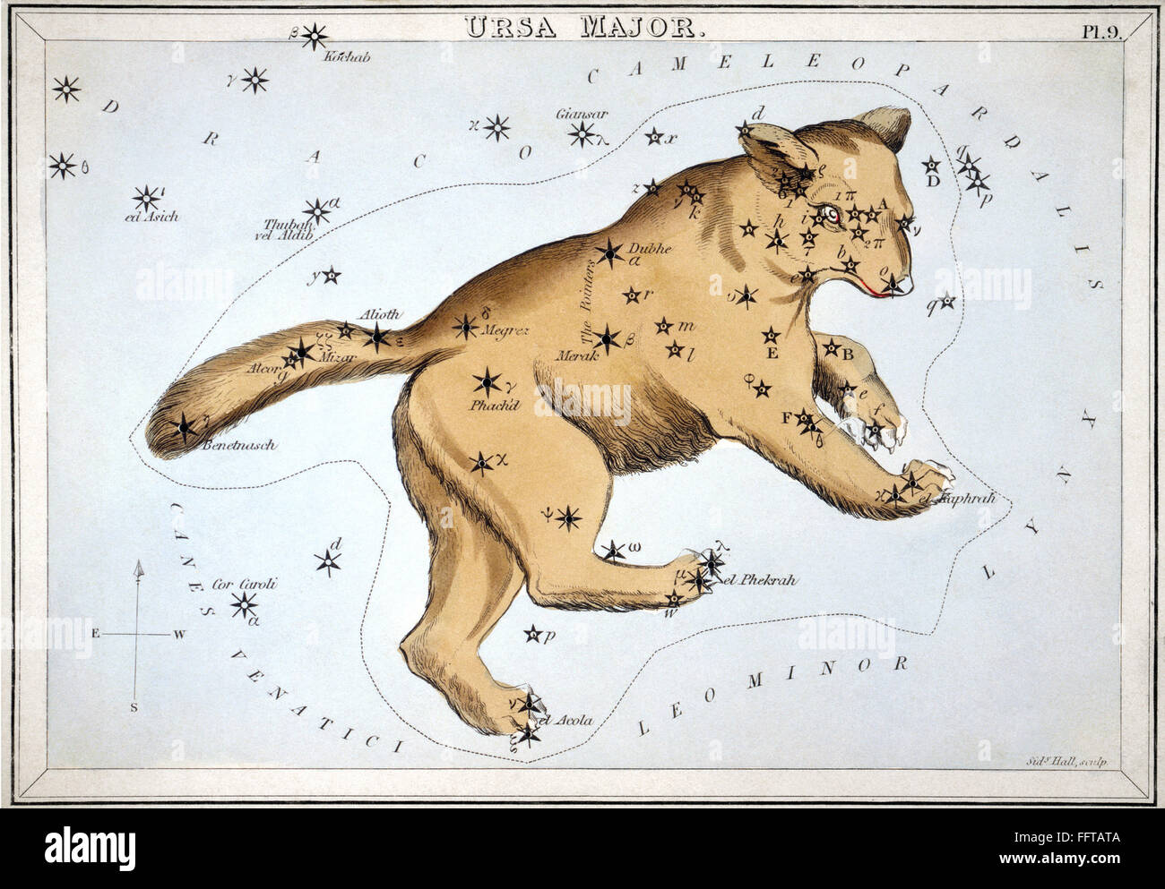 ASTRONOMY: URSA MAJOR. /nAstronomical chart showing the Ursa Major ...