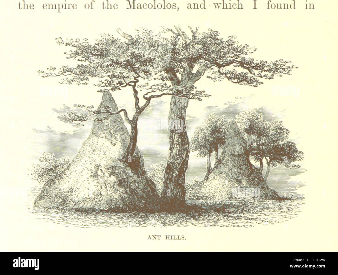 This book highlights the major explorers who shaped the understanding ...