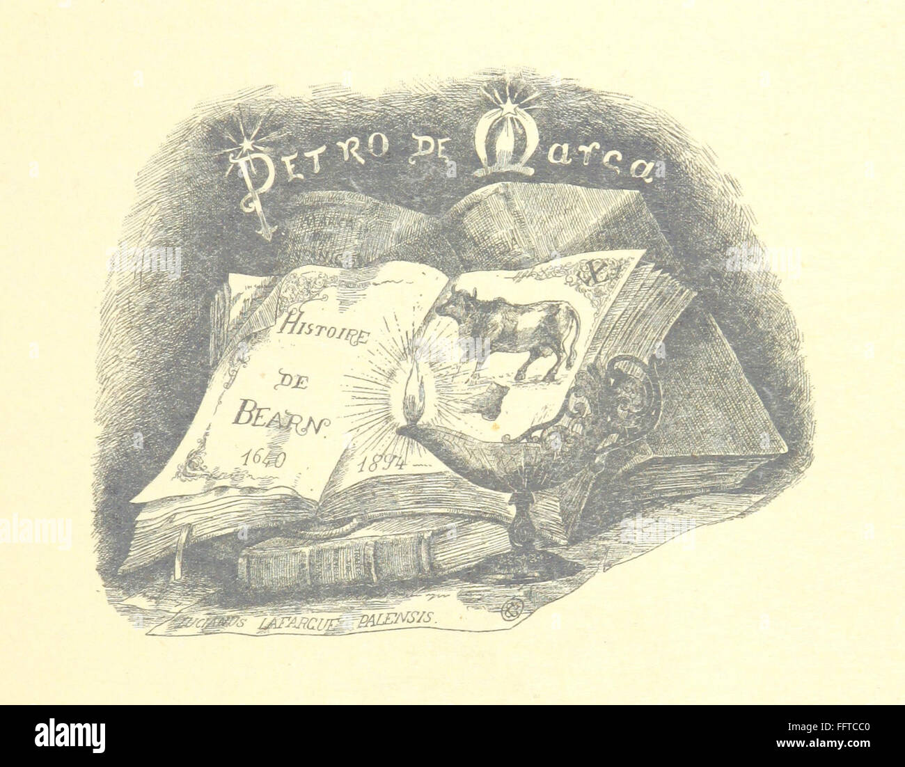 A history of Béarn, newly revised with engravings, detailing the region ...