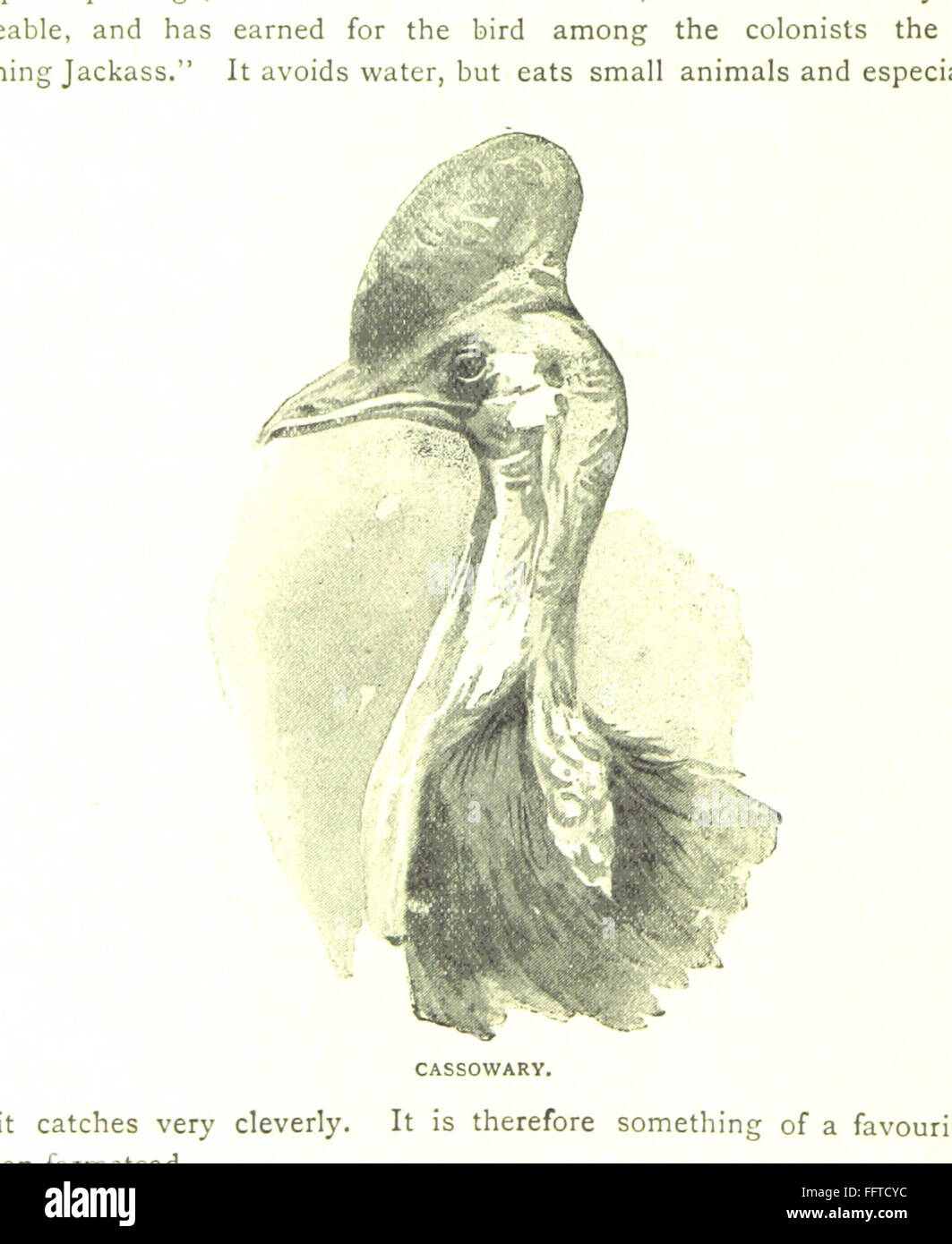 The Orient Line Guide provides information on routes and destinations ...