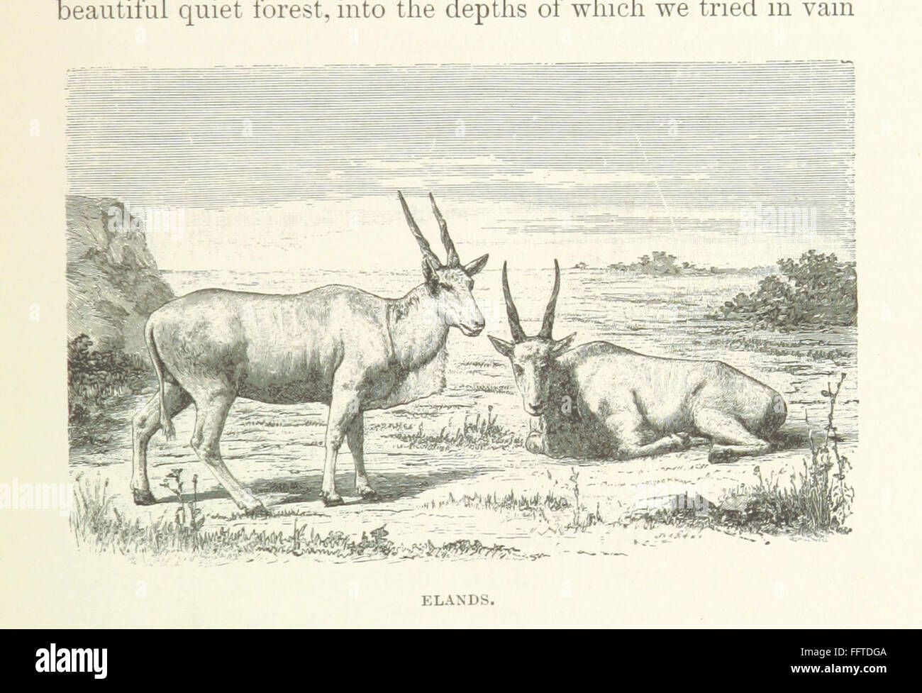 'Discovery of Lakes Rudolf and Stefanie' narrates Count S. Teleki’s ...