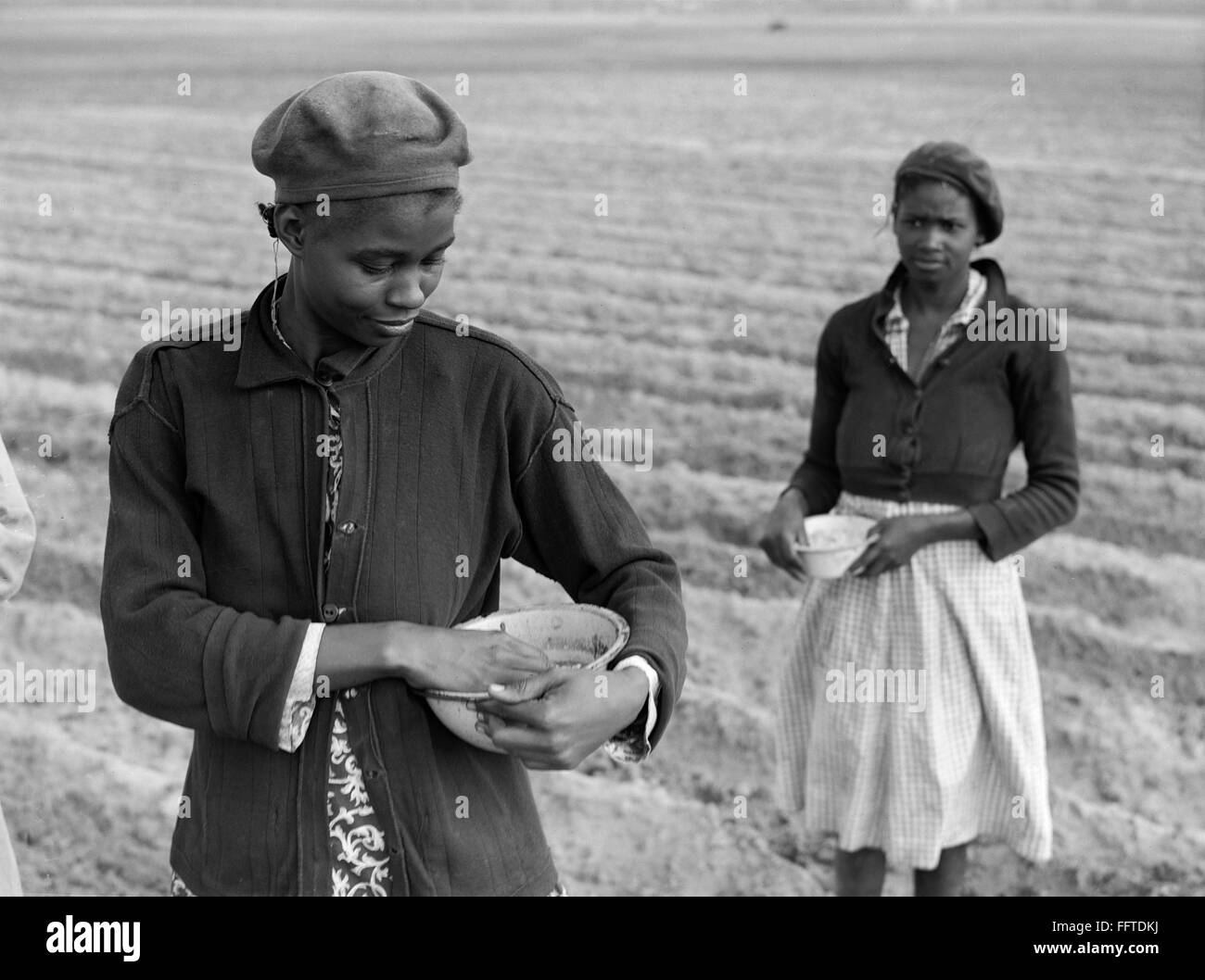 CORN PLANTATION, 1941. /nMigrant workers planting corn on a plantation ...
