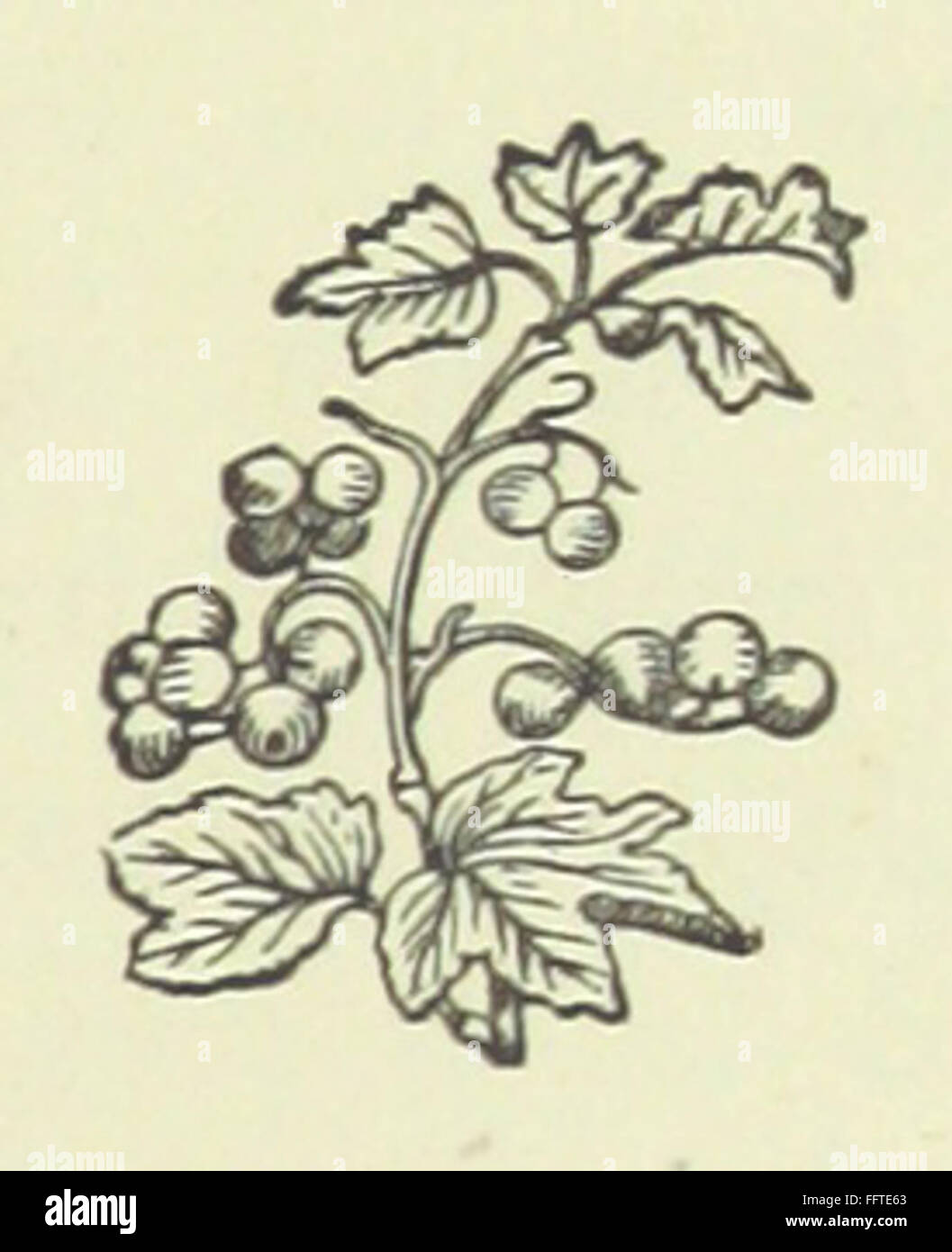 'The Dark Colleen' is a romantic novel by Harriet Jay, focusing on love ...