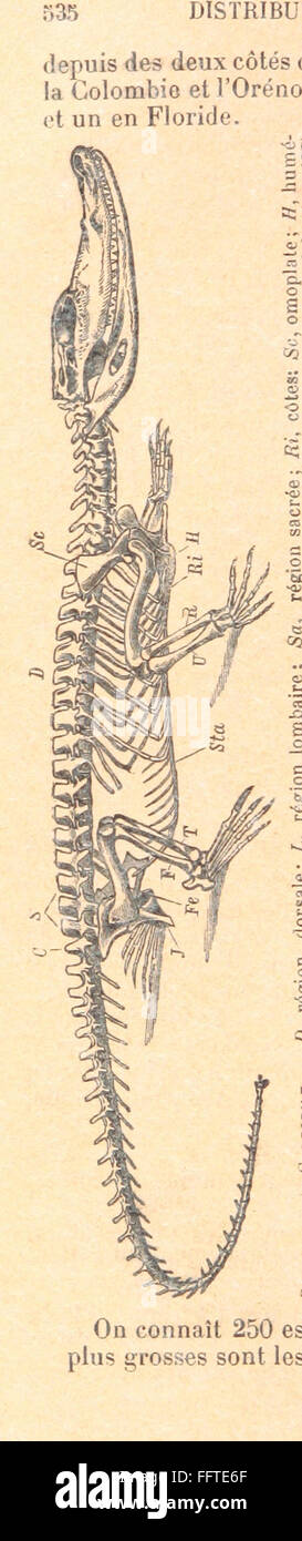 This historical work outlines the evolution of the world and its ...